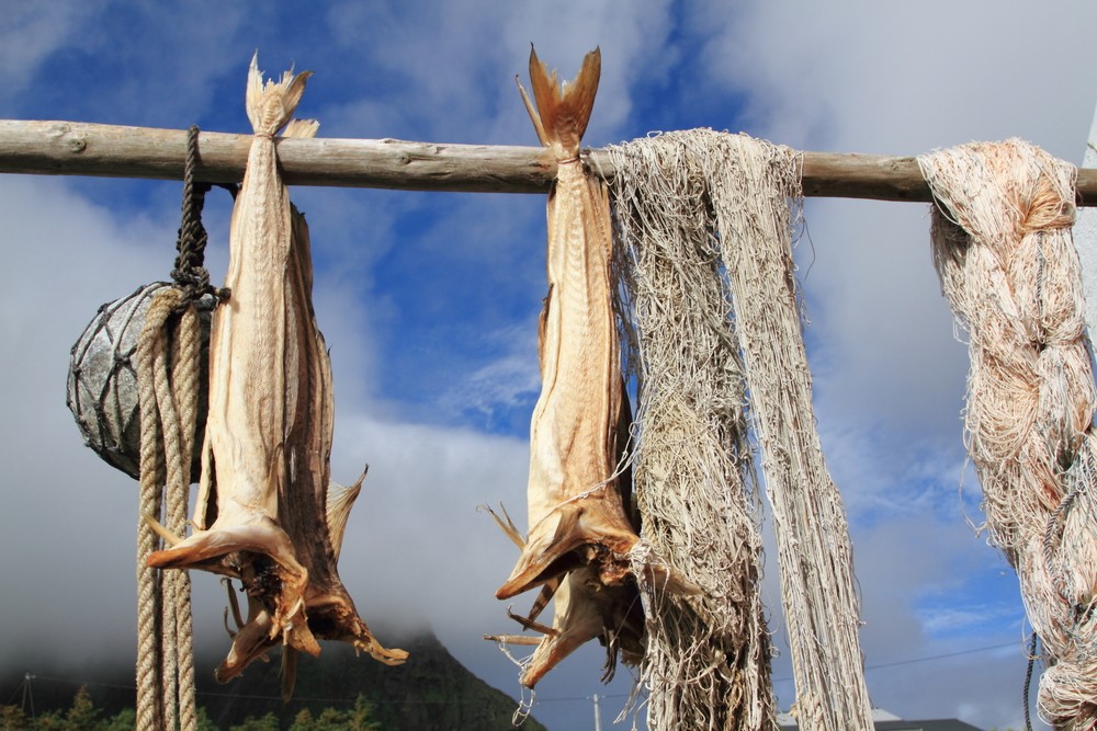 Come ammollare lo stoccafisso | Agrodolce