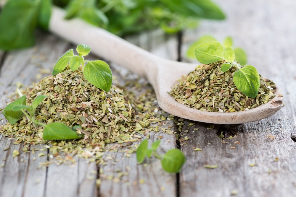 Origano secco vs fresco: pro e contro - Agrodolce