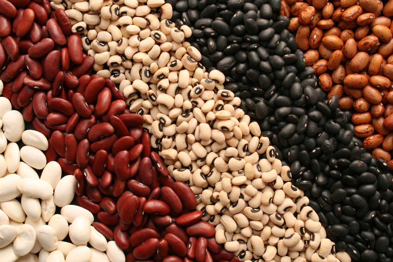 Fagioli secchi: ecco come utilizzarli in cucina - Agrodolce