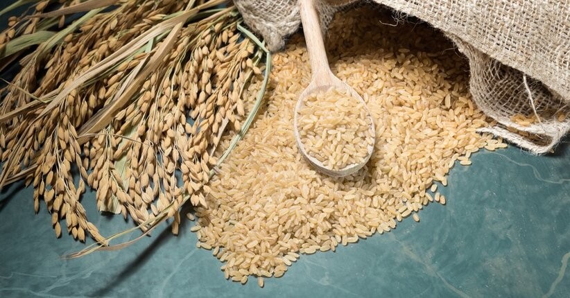 Riso italiano: 10 varietà che non conoscevi - Agrodolce