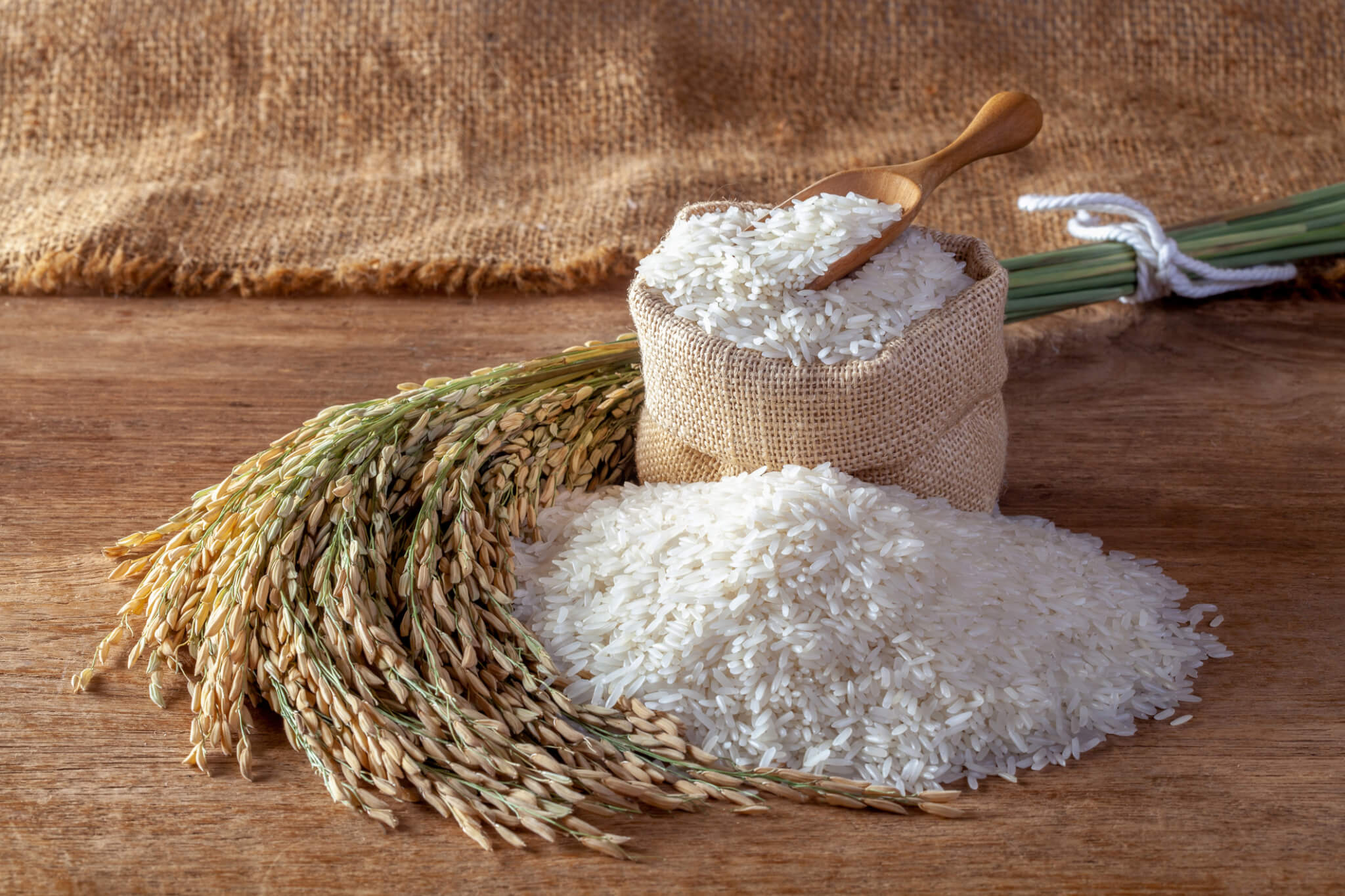 Cos'è e come è fatta la birra di riso - Agrodolce