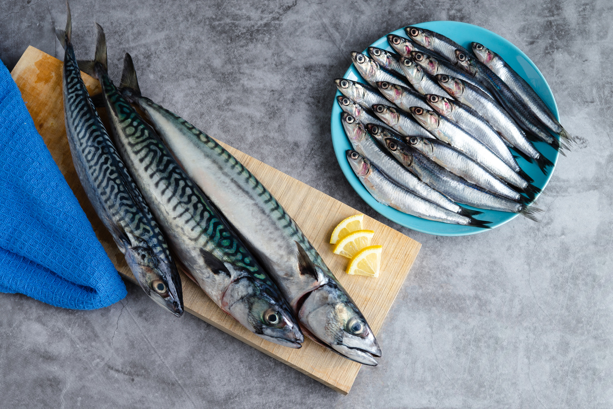 Cosa è il pesce azzurro - benefici. utilizzo e ricette - Agrodolce
