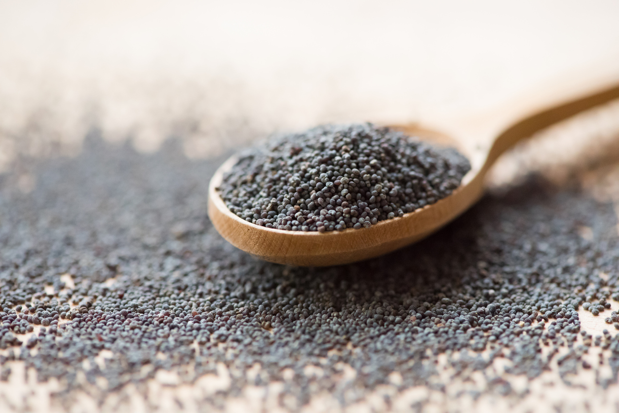 SEMI DI PAPAVERO: ecco come usarli in cucina - Agrodolce