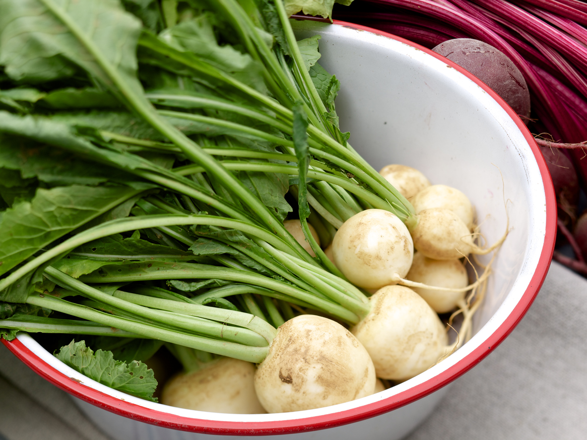 Rapa bianca: come cucinarla per renderla irresistibile - Agrodolce